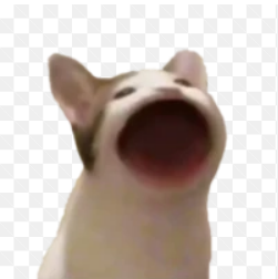 Popcat Classic - Github.io games